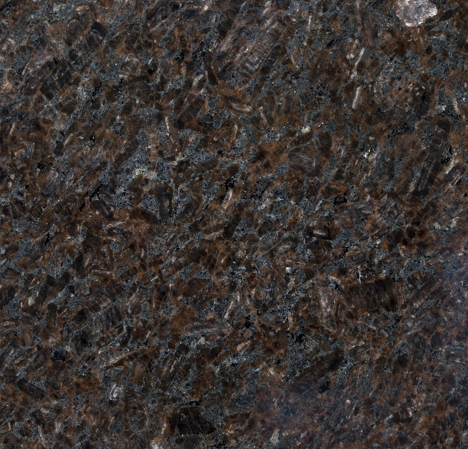 Ice Brown | Marbelous