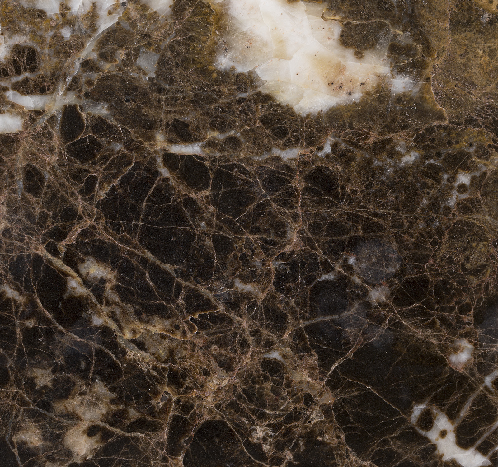 Marron Imperial | Marbelous