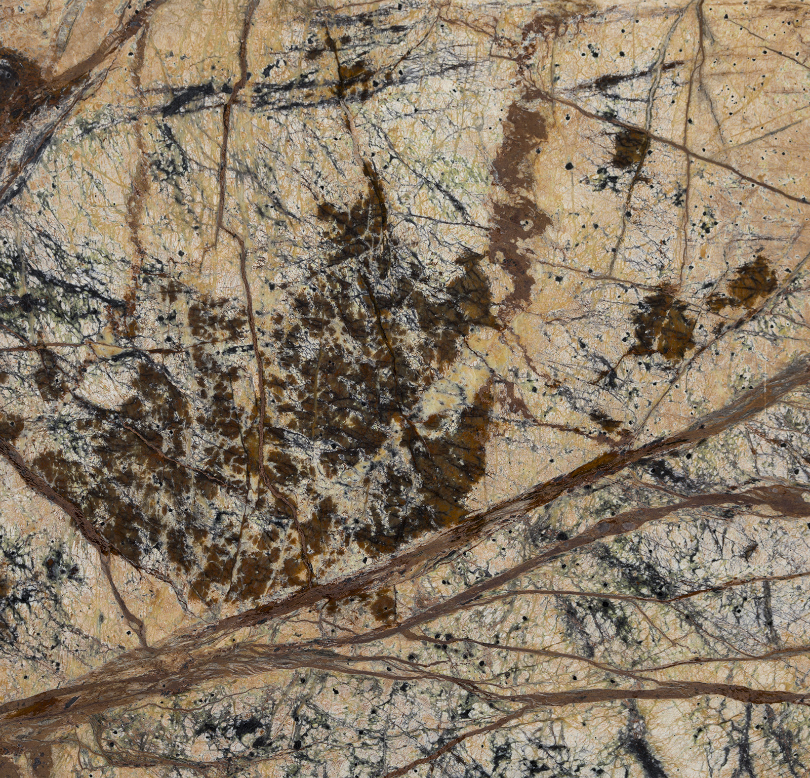 Forest Root Brown | Marbelous