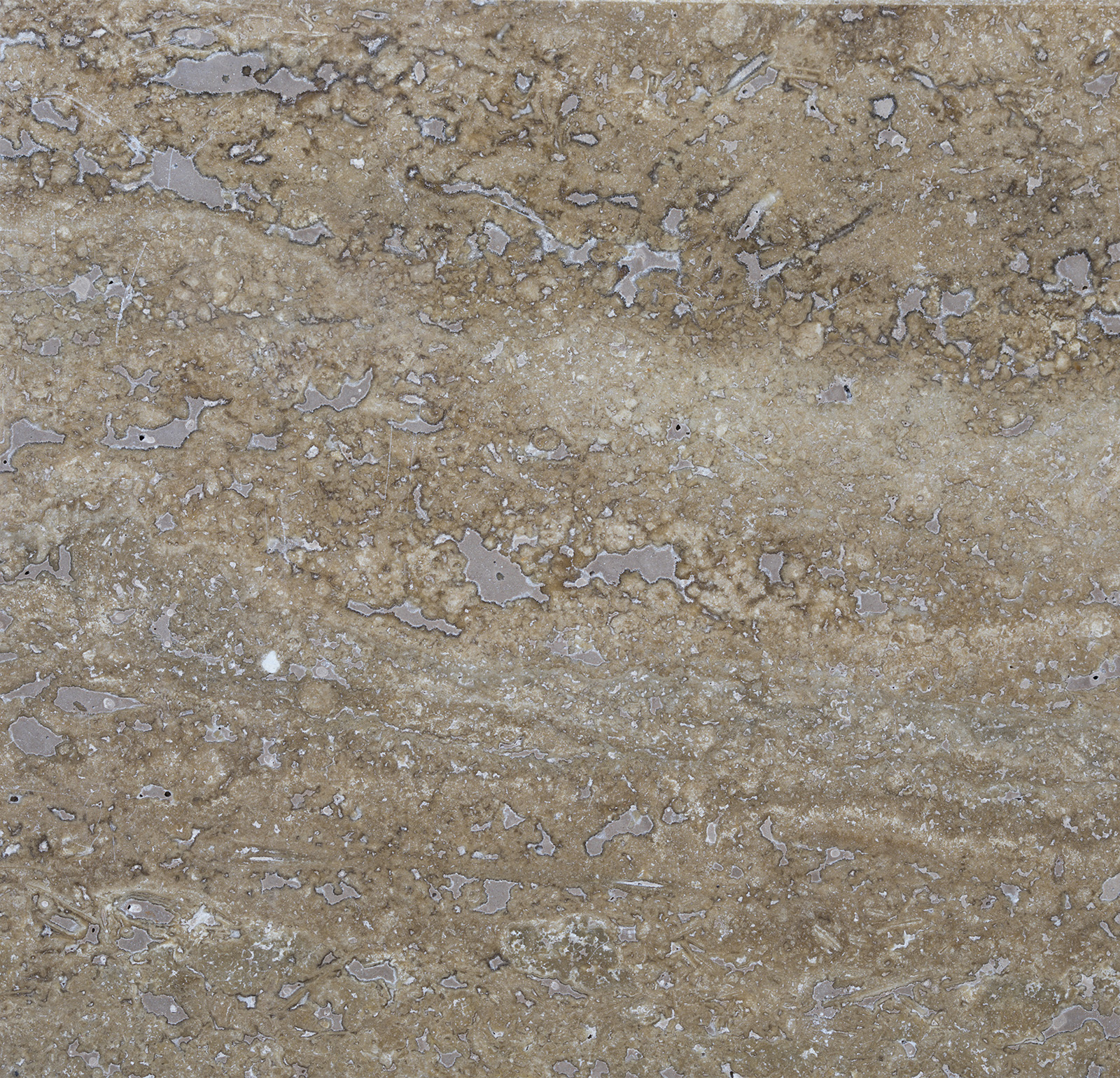 Walnut Travertine | Marbelous